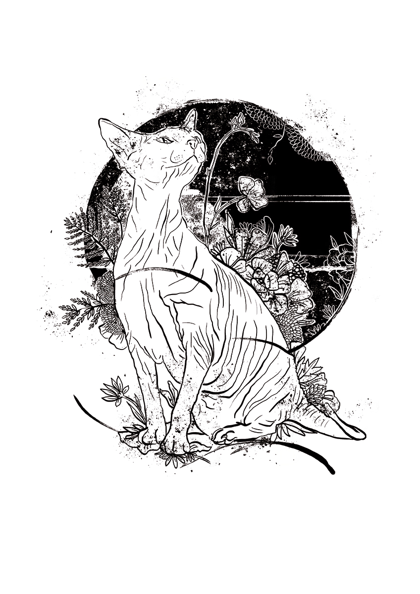 Sphynx (II) - Niko Bleach